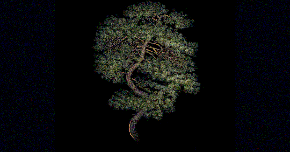 Choi Bo-Ram Featured on 'Craft Nation' | Lloyd Choi Gallery